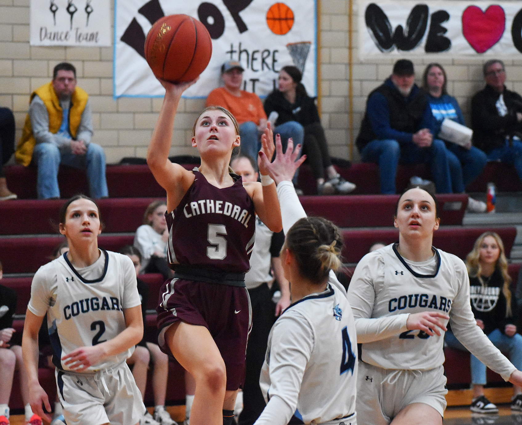 Hotovec’s hot hand leads Greyhounds by Cougars | News, Sports, Jobs ...